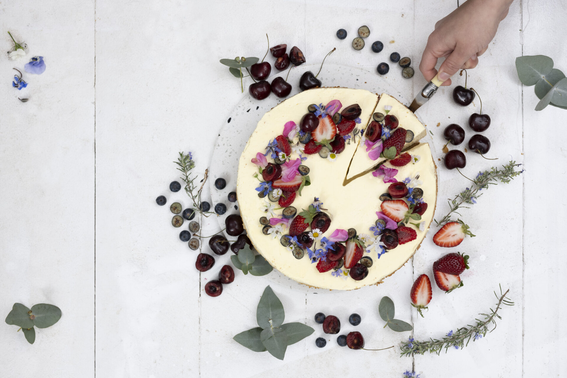 Baked Ricotta Cheesecake - Foodland