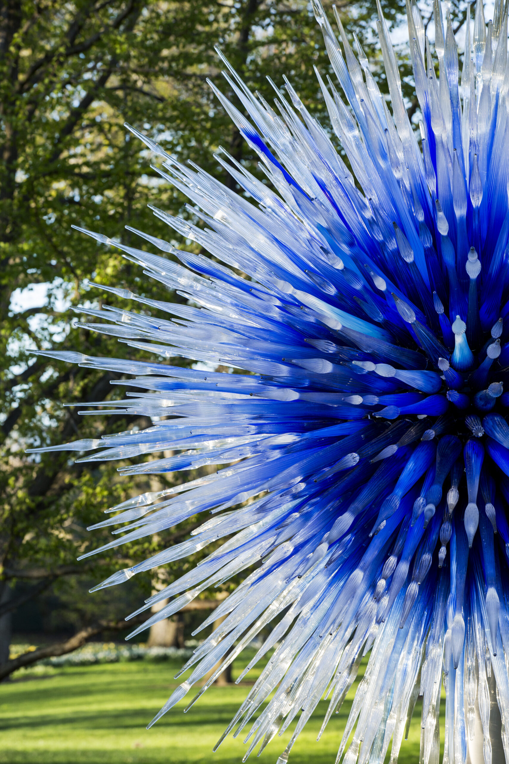 Chihuly in the Botanic Garden - Foodland